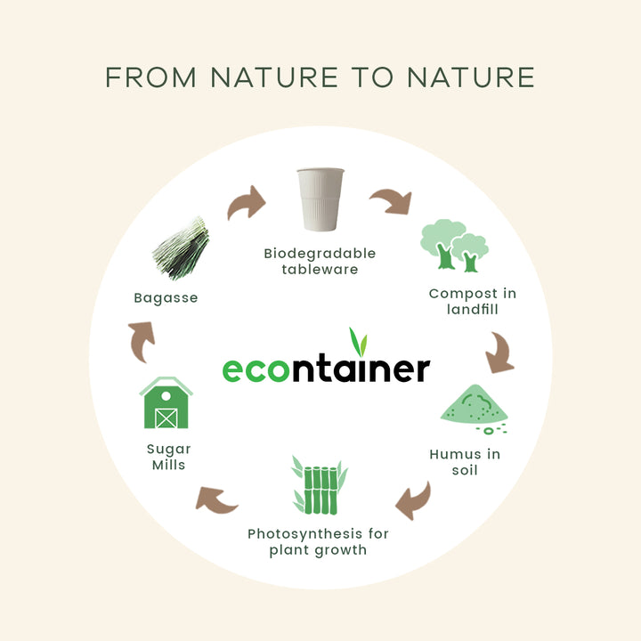 Econtainer Philippines | Eco-friendly Food Packaging Solutions