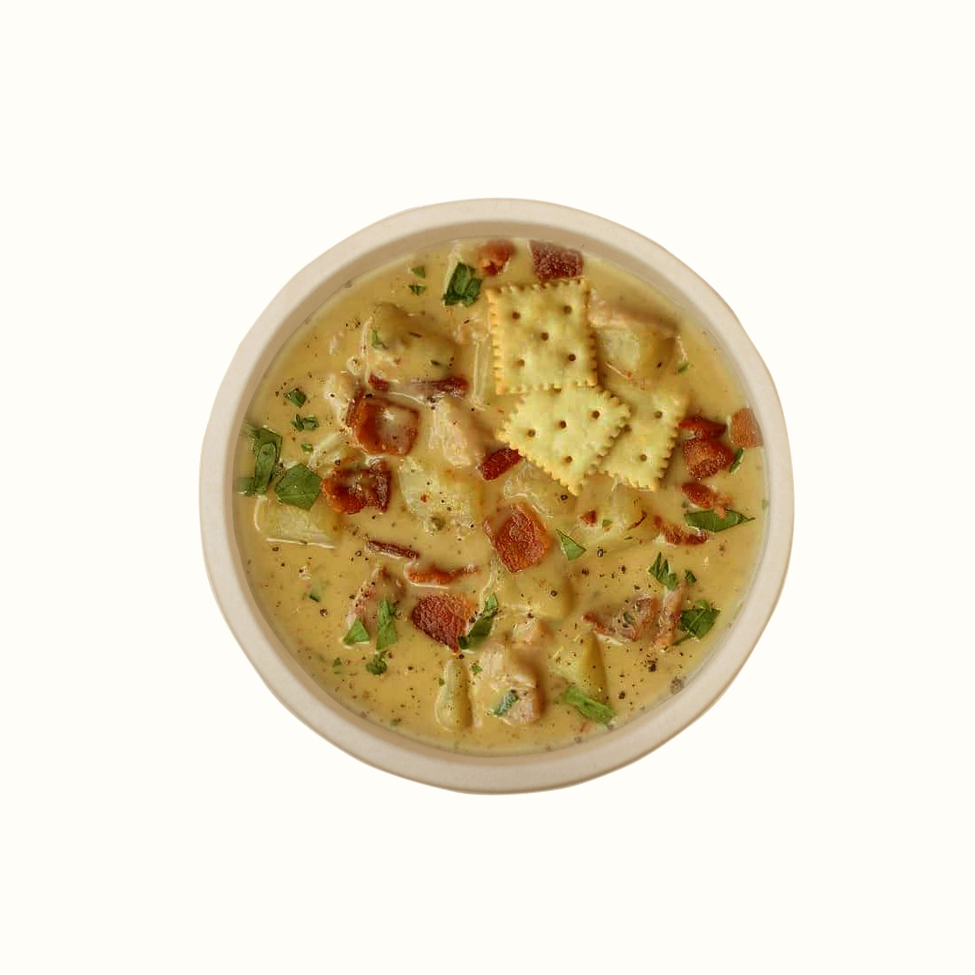 Disposable Eco-friendly Bowl 500ml | Econtainer Philippines