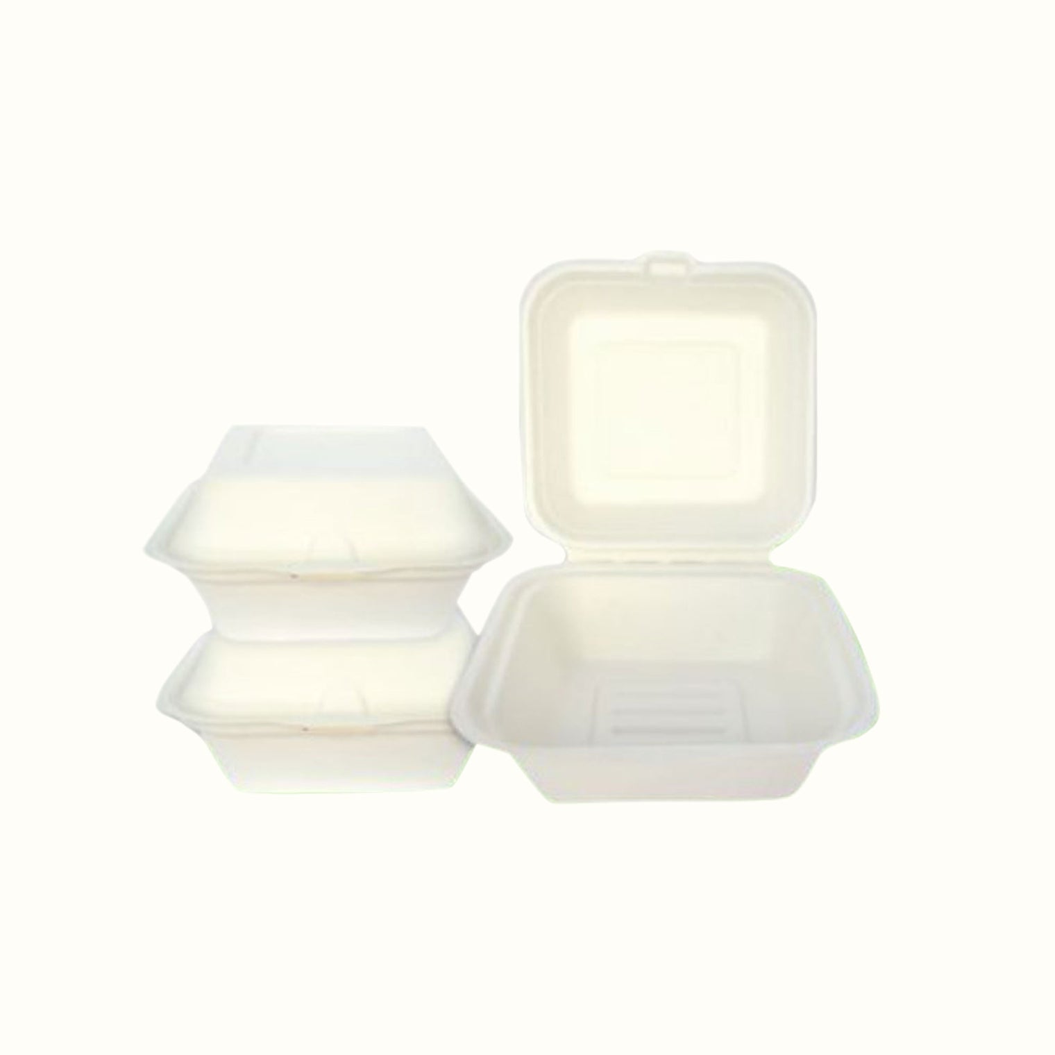 Square Take-out Box 600ml | Econtainer Philippines